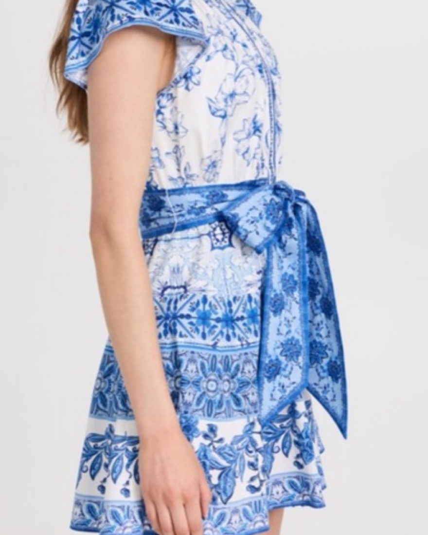 Alice and Olivia Blue And White Dress | Pickle