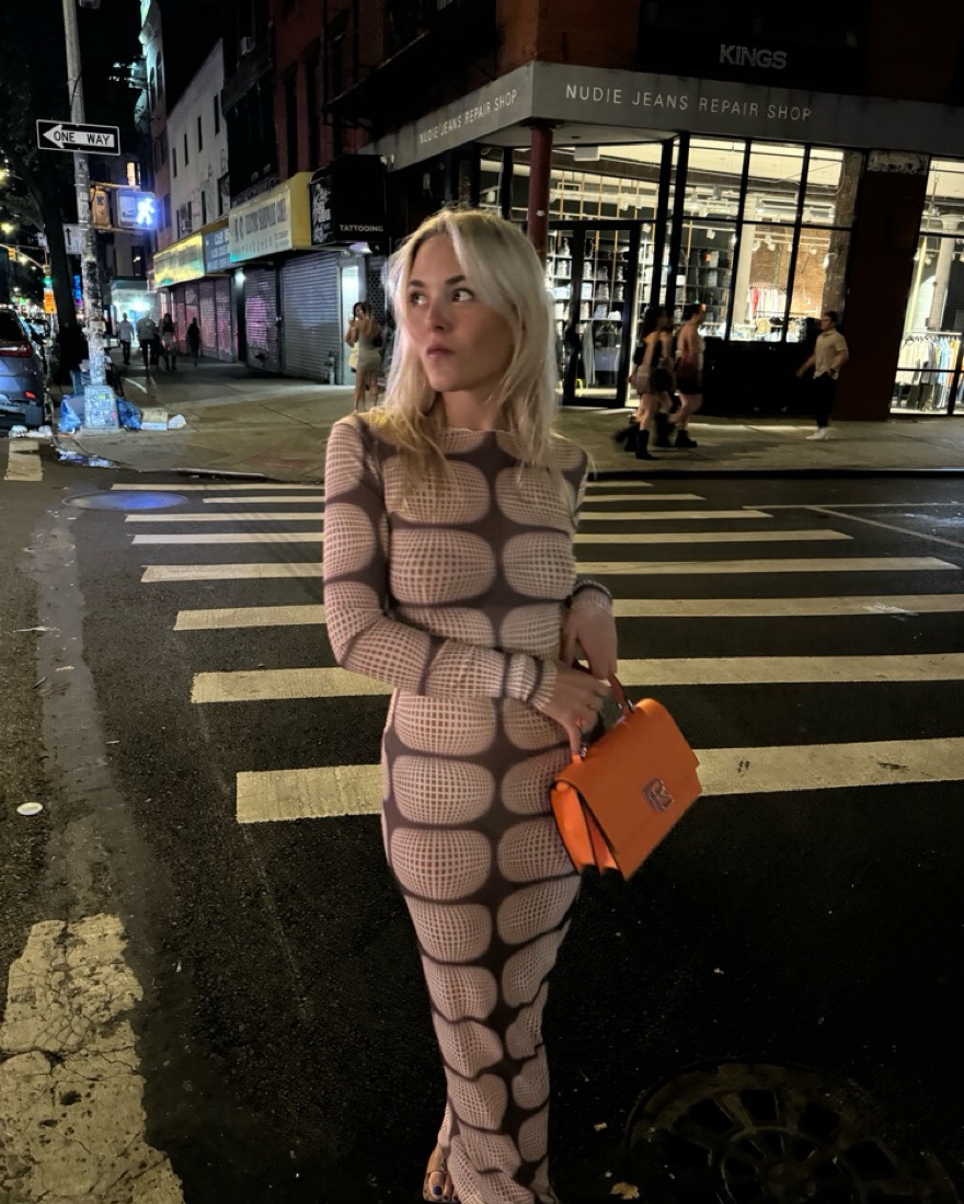 Revolve Long Sleeve Mesh Maxi Dress | Pickle