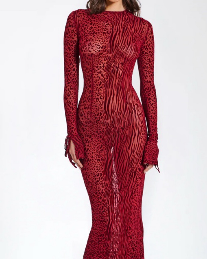 Velvet Detail Mesh Backless Maxi Dress | Pickle