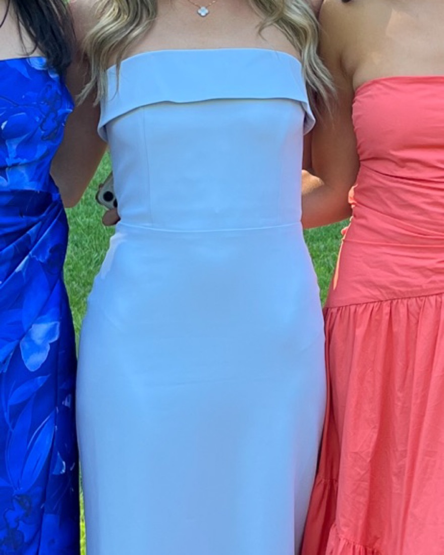 Veronica Beard Absol Crepe Strapless Dre | Pickle