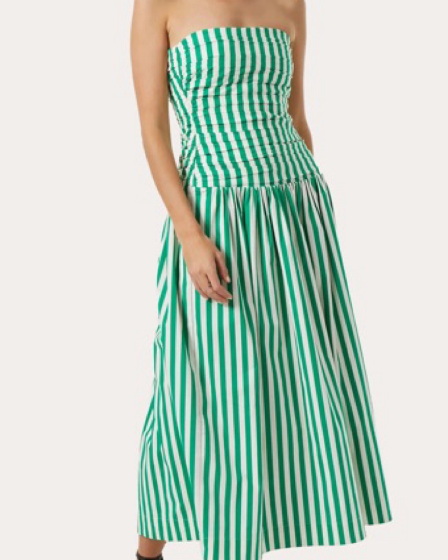 Rhode Drop Waist Dress | Pickle