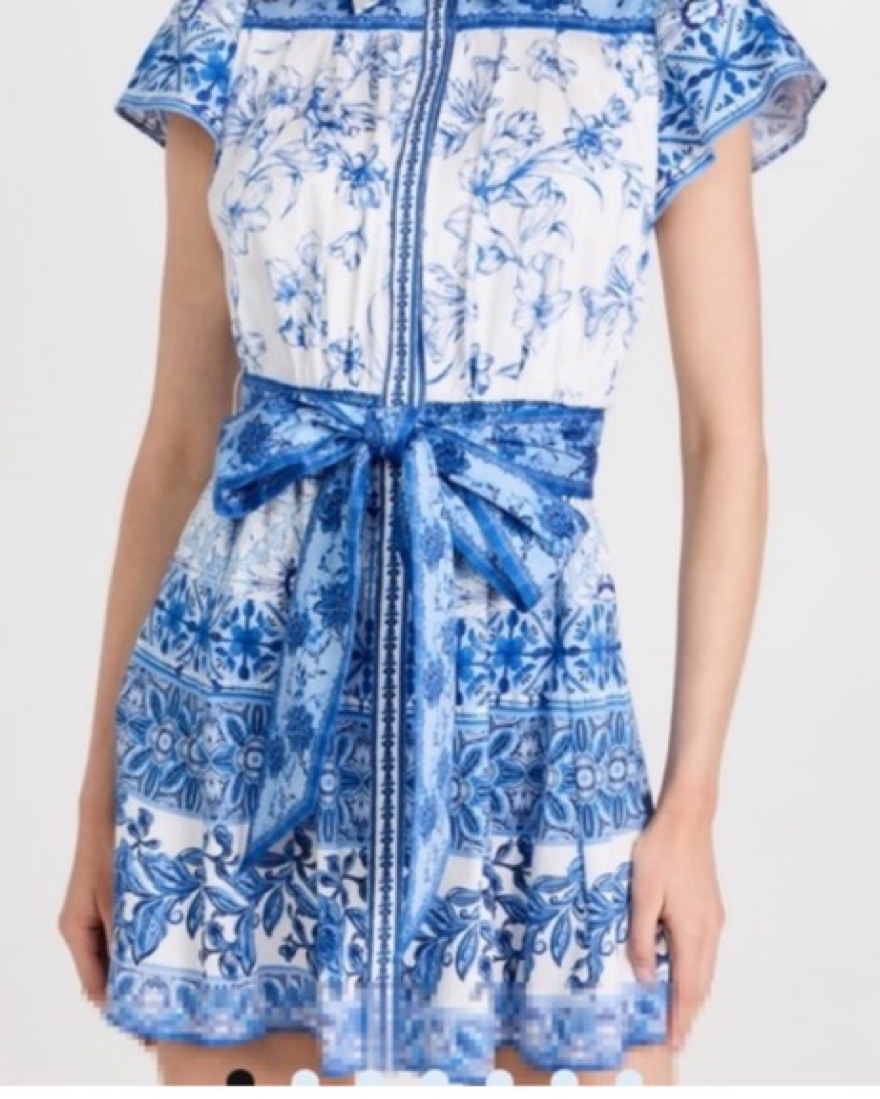 Alice and Olivia Blue And White Dress | Pickle