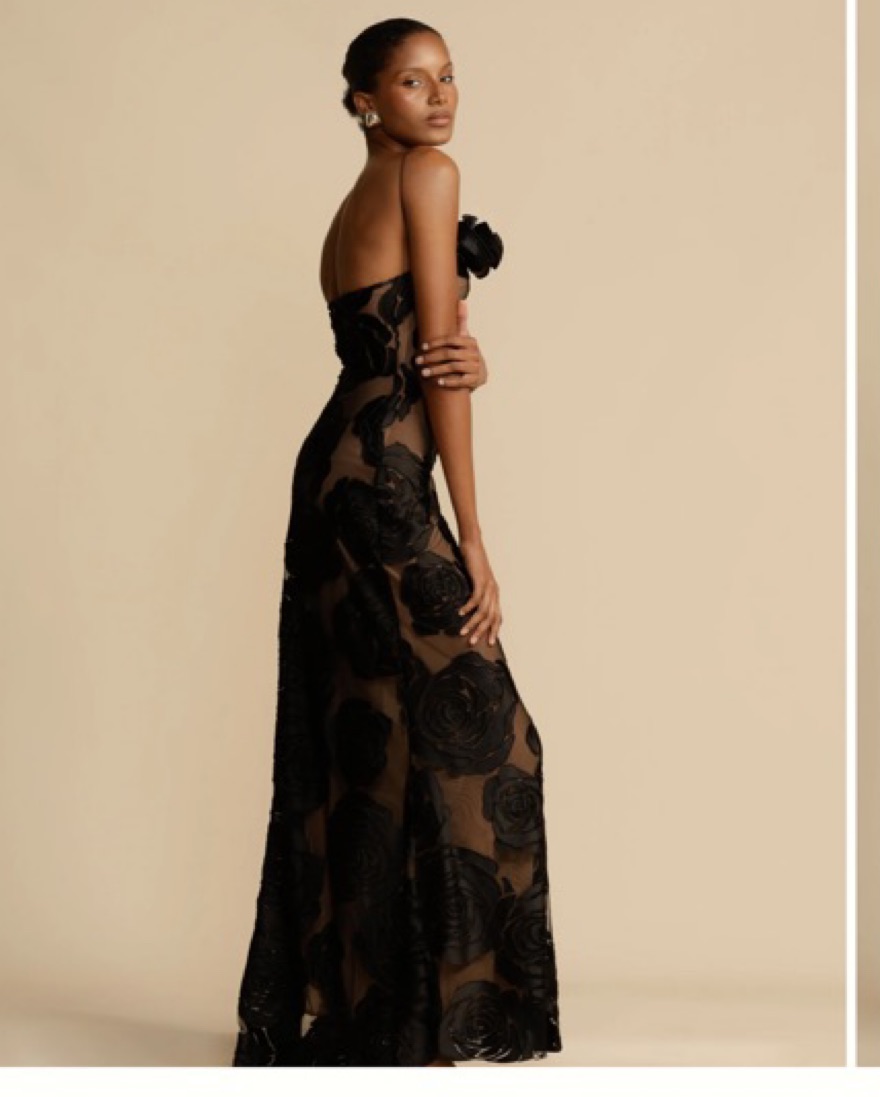 Arcina Ori Marcella Dress | Pickle