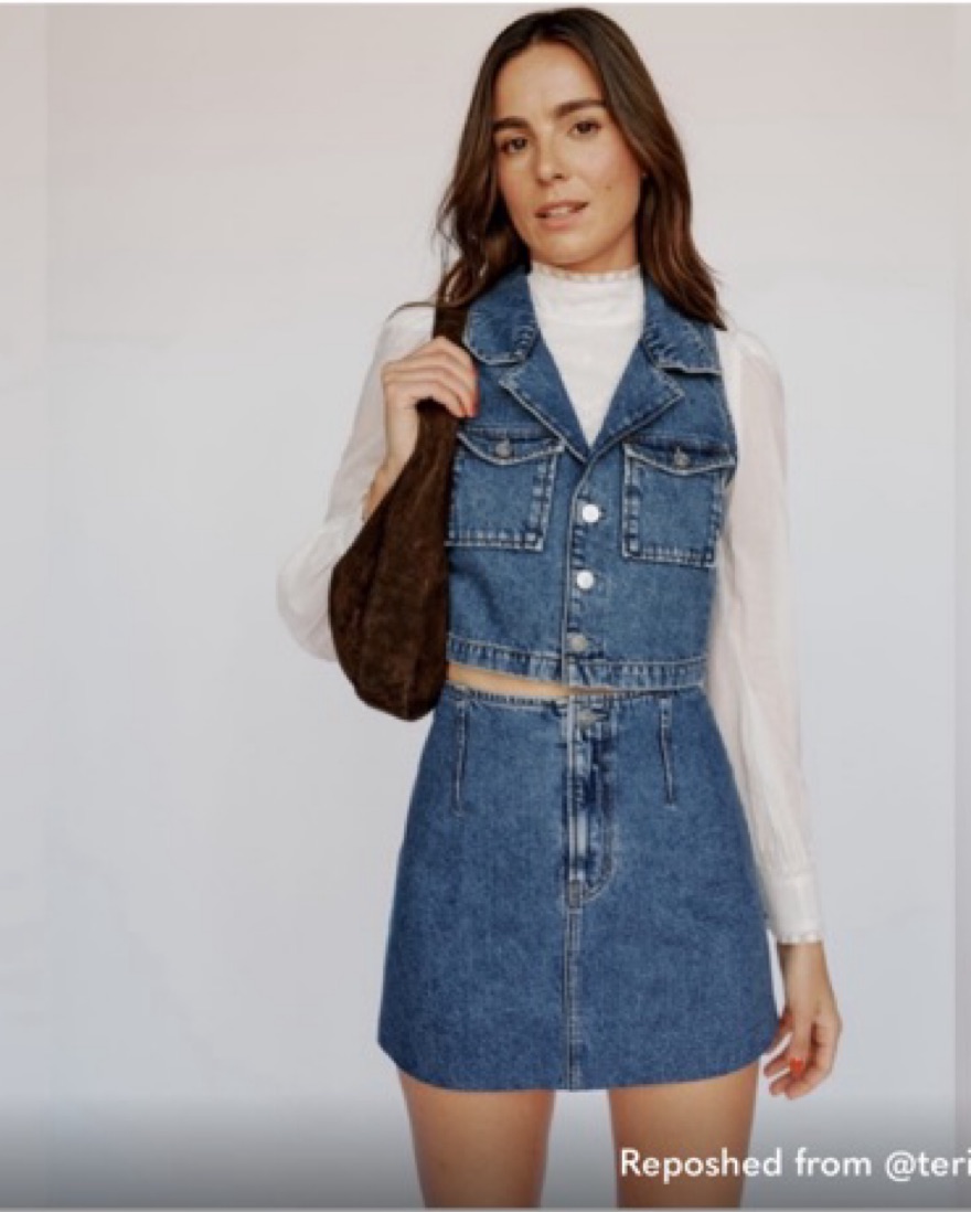 Reformation Denim Vest and Dress Set | Pickle