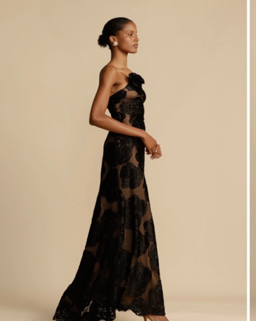 Arcina Ori Marcella Dress | Pickle